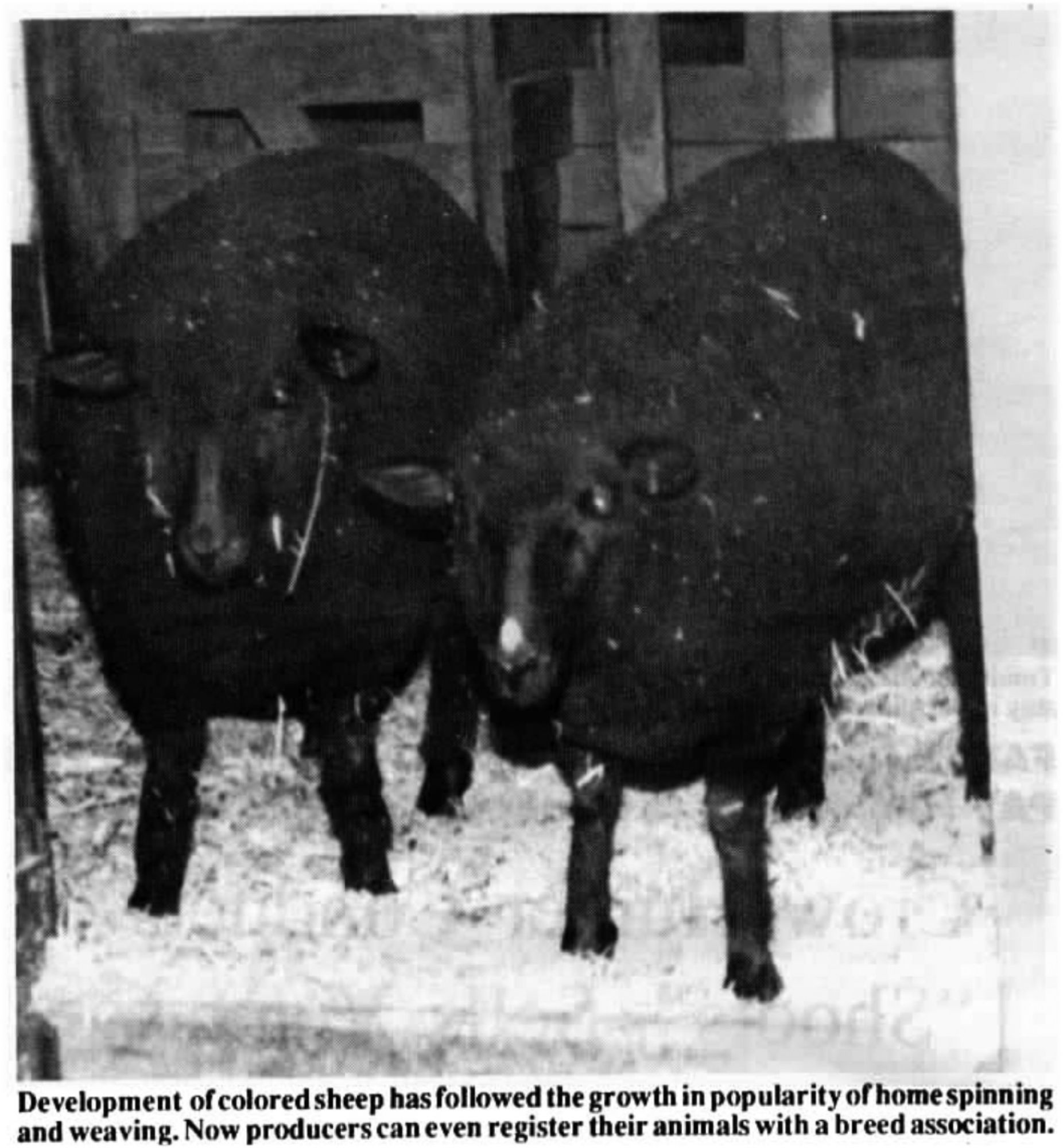 FARM SHOW Magazine - The BEST stories about Made-It-Myself Shop ...