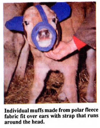 FARM SHOW Magazine - The BEST stories about Made-It-Myself Shop ...