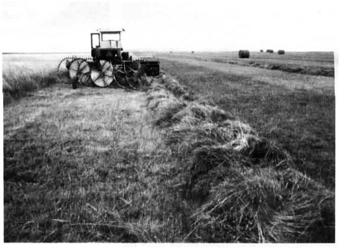 FARM SHOW Magazine - The BEST stories about Made-It-Myself Shop ...