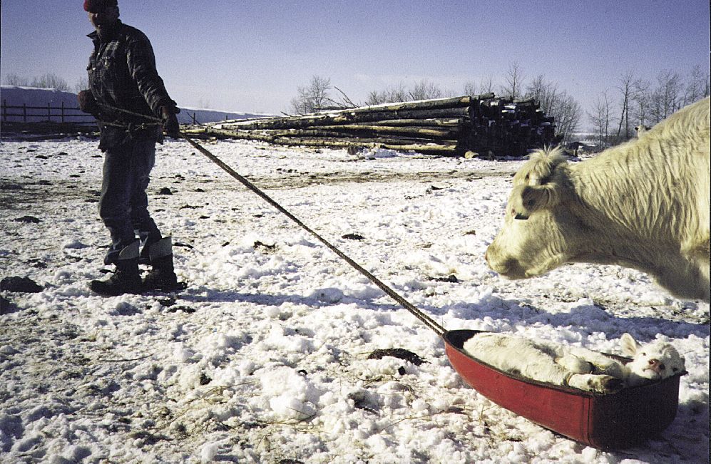 FARM SHOW Magazine - The BEST stories about Made-It-Myself Shop ...