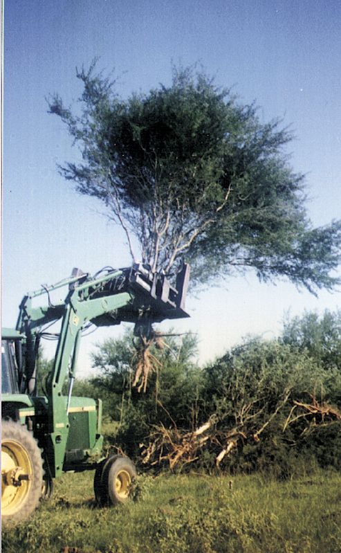 FARM SHOW Magazine - The BEST stories about Made-It-Myself Shop ...