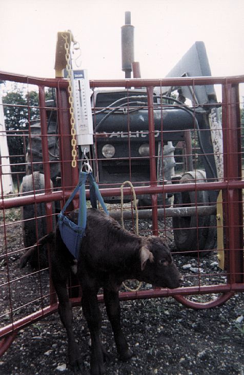 FARM SHOW Magazine - The BEST stories about Made-It-Myself Shop ...