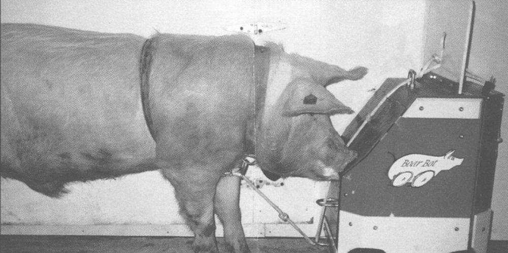 FARM SHOW Magazine - The BEST stories about Made-It-Myself Shop ...