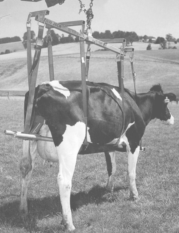 FARM SHOW Magazine - The BEST stories about Made-It-Myself Shop ...