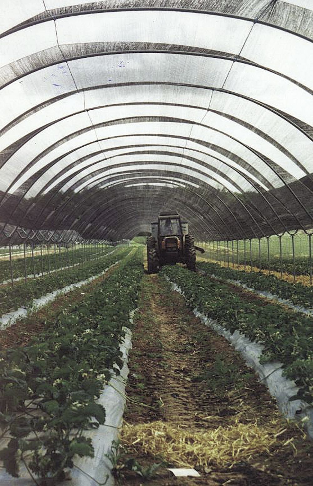 FARM SHOW Magazine - The BEST stories about Made-It-Myself Shop ...