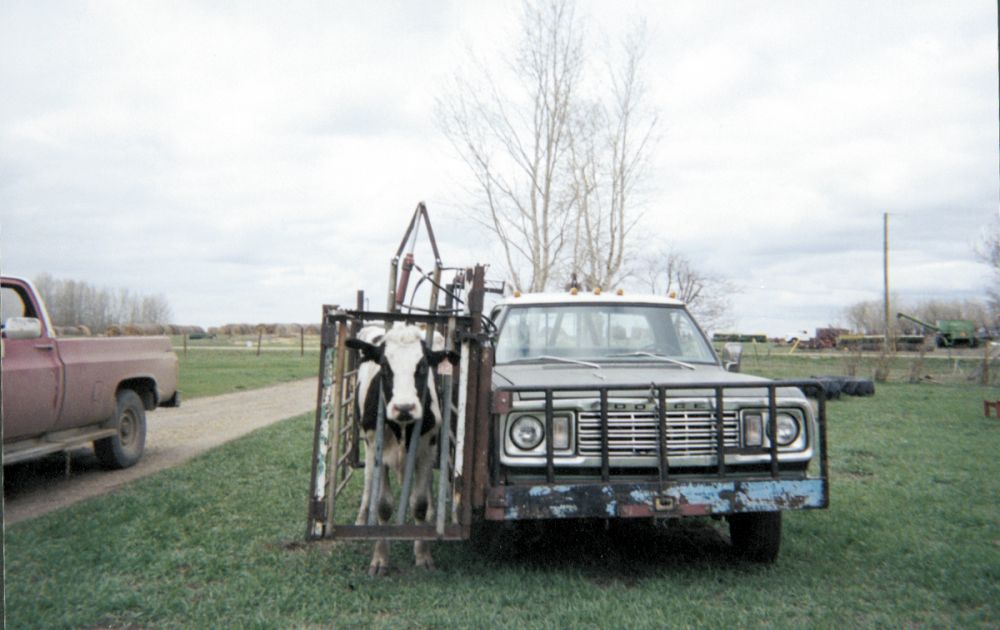 FARM SHOW Magazine - The BEST stories about Made-It-Myself Shop ...