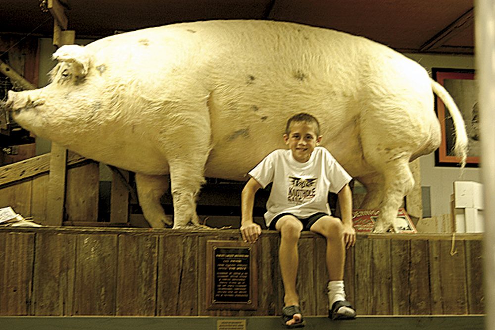 FARM SHOW Magazine - The BEST stories about Made-It-Myself Shop ...