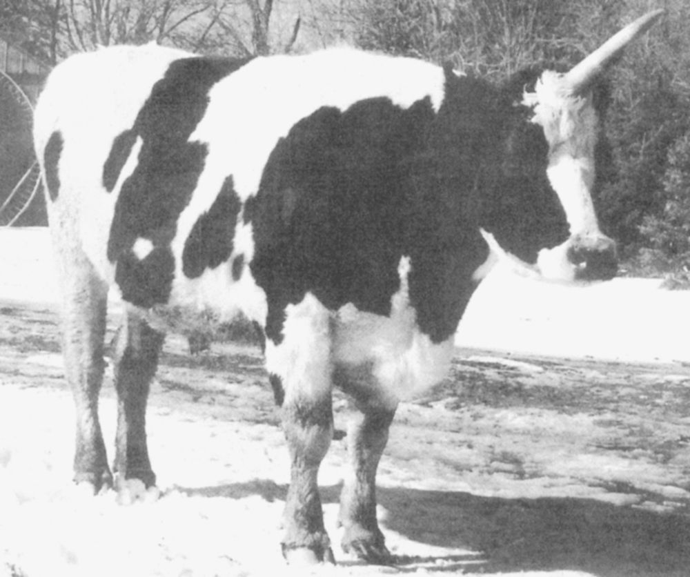 FARM SHOW Magazine - The BEST stories about Made-It-Myself Shop ...