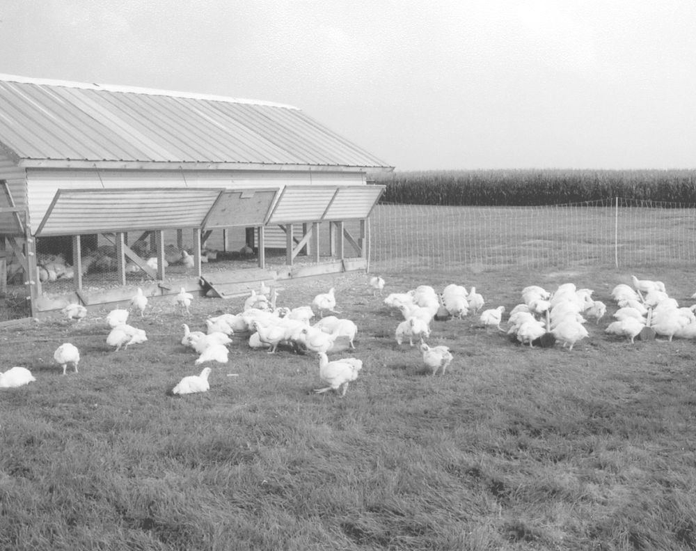 FARM SHOW Magazine - The BEST stories about Made-It-Myself Shop ...