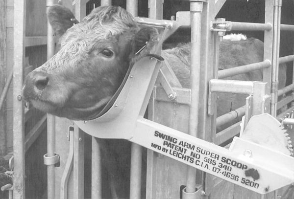 FARM SHOW Magazine - The BEST stories about Made-It-Myself Shop ...