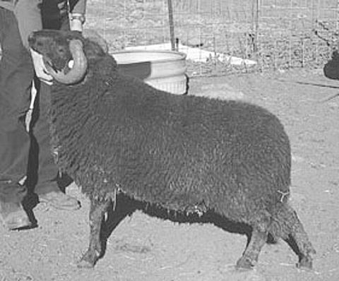 FARM SHOW Magazine - The BEST stories about Made-It-Myself Shop ...