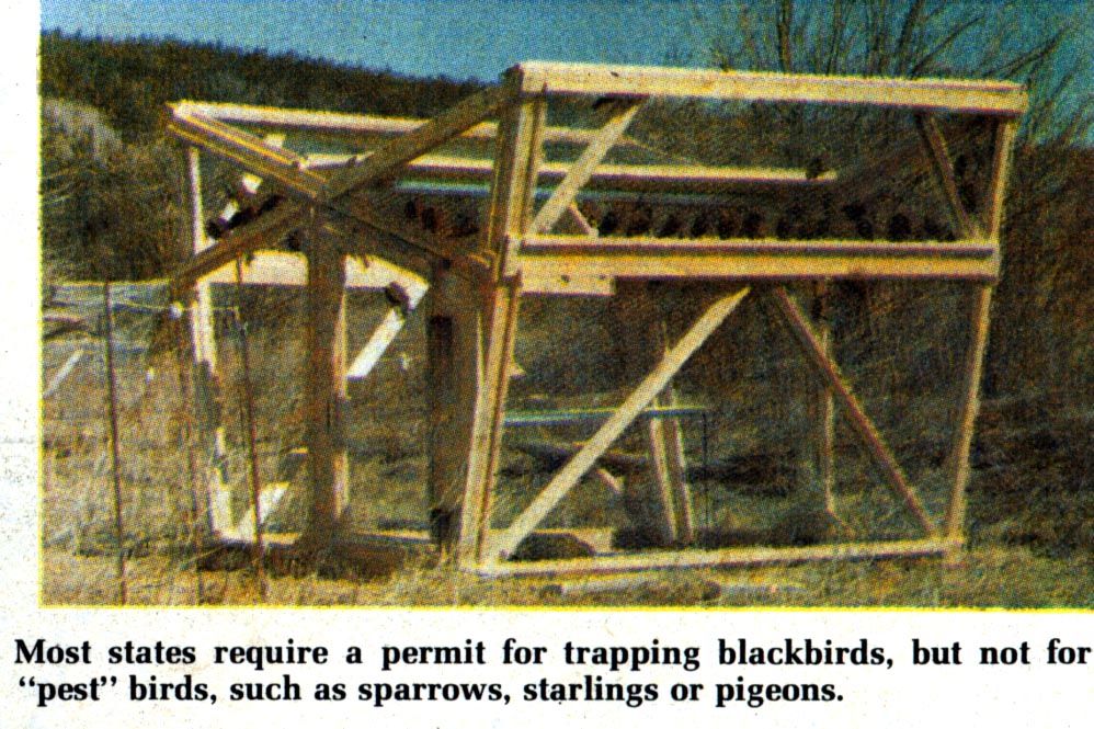 FARM SHOW Magazine - The BEST stories about Made-It-Myself Shop ...