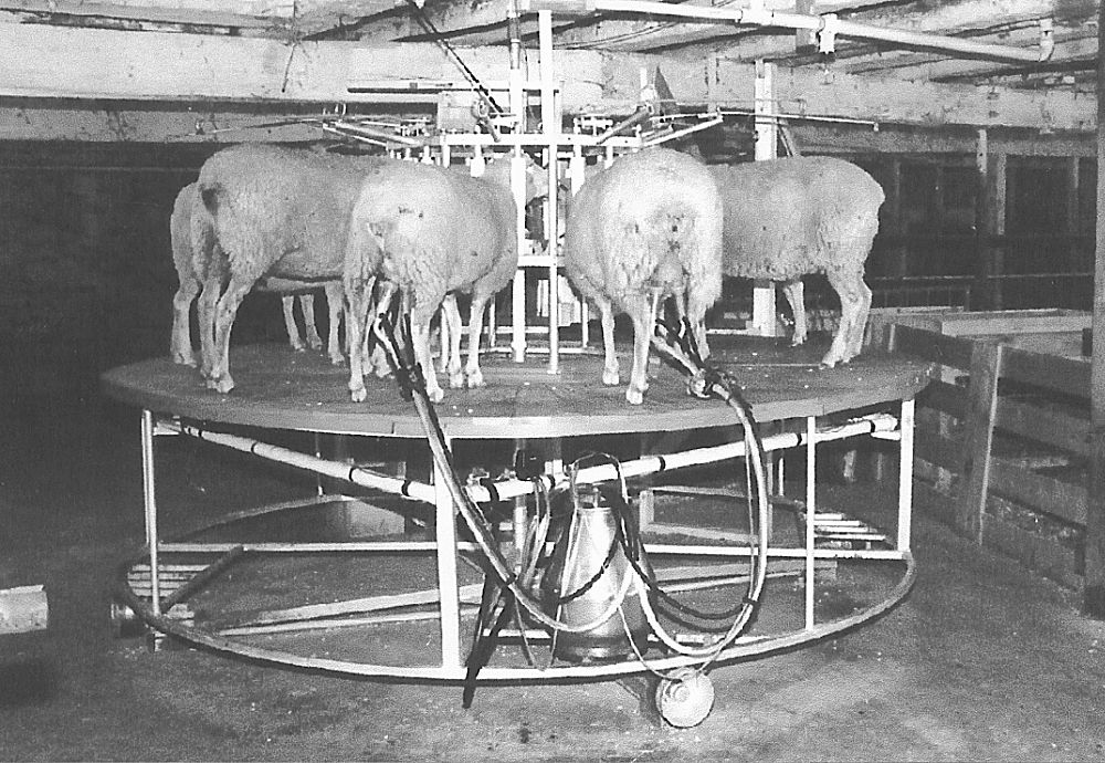 FARM SHOW Magazine - The BEST stories about Made-It-Myself Shop ...