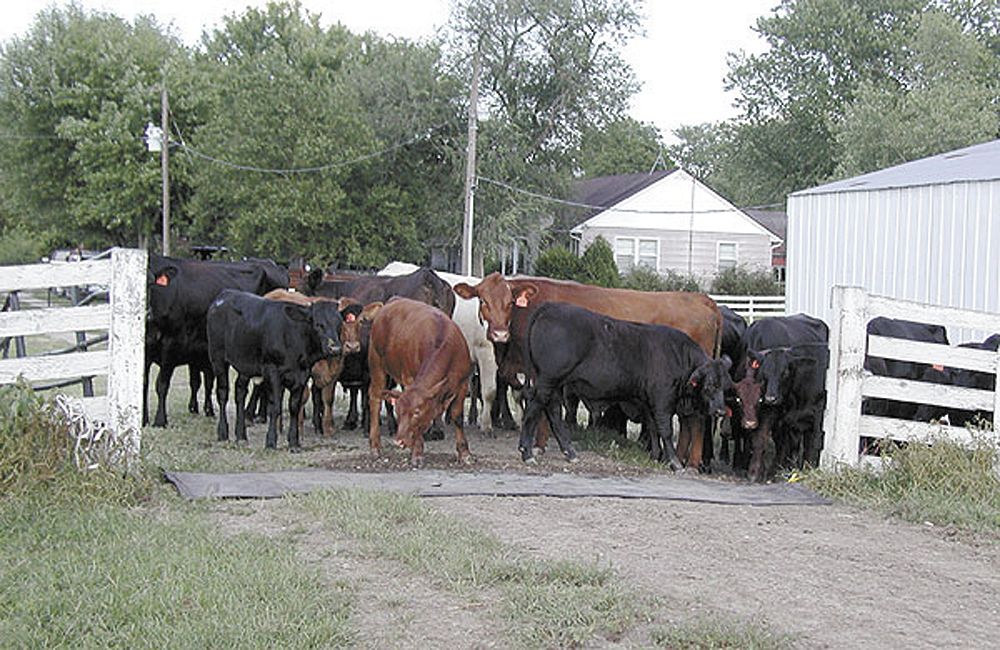 FARM SHOW Magazine - The BEST stories about Made-It-Myself Shop ...