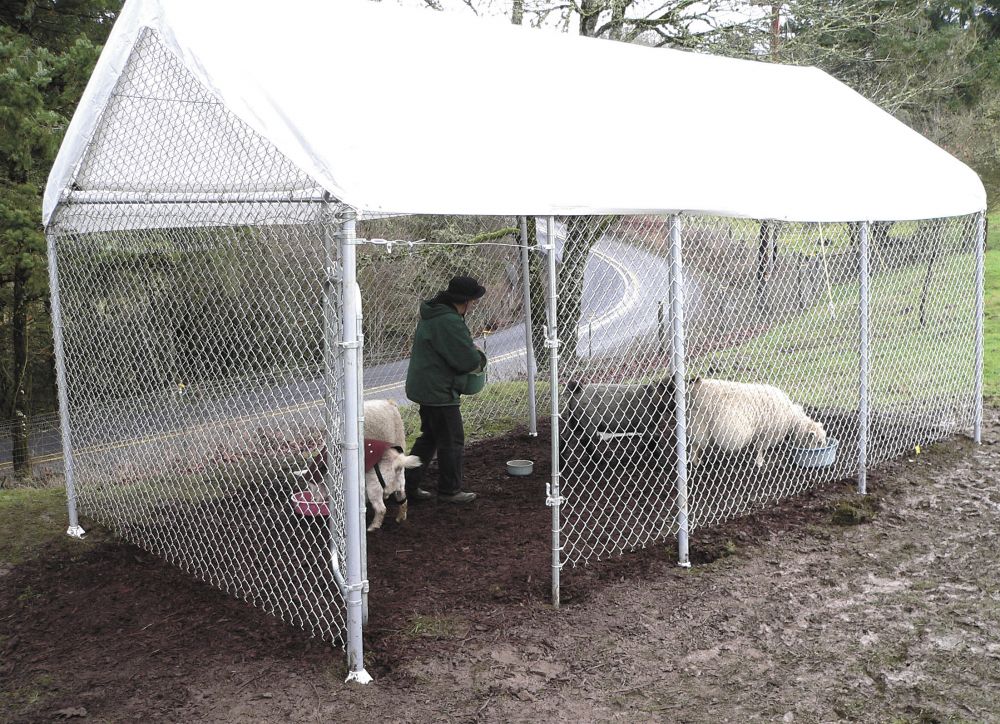 FARM SHOW Magazine - The BEST stories about Made-It-Myself Shop ...