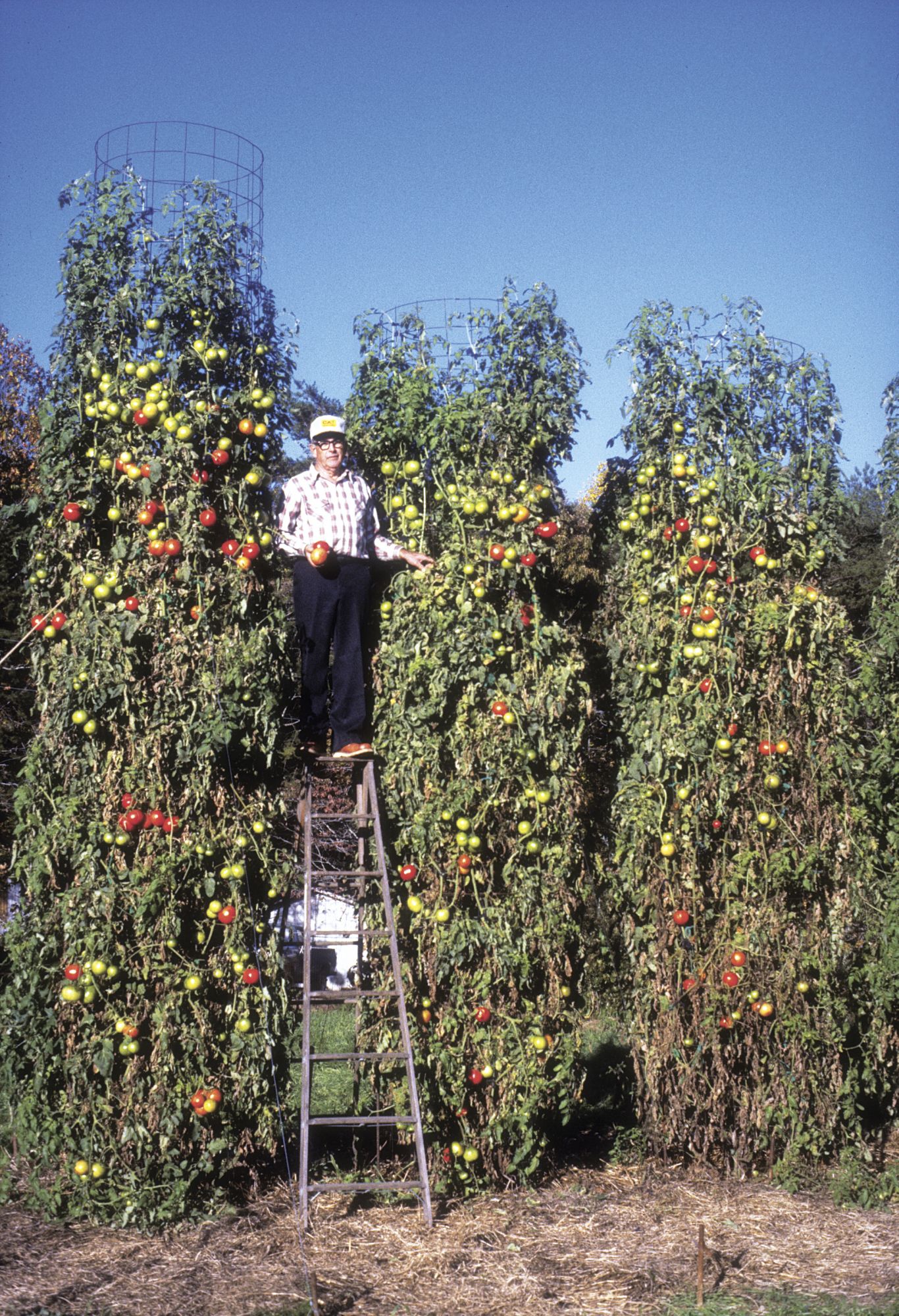 FARM SHOW Magazine - The BEST stories about Made-It-Myself Shop ...
