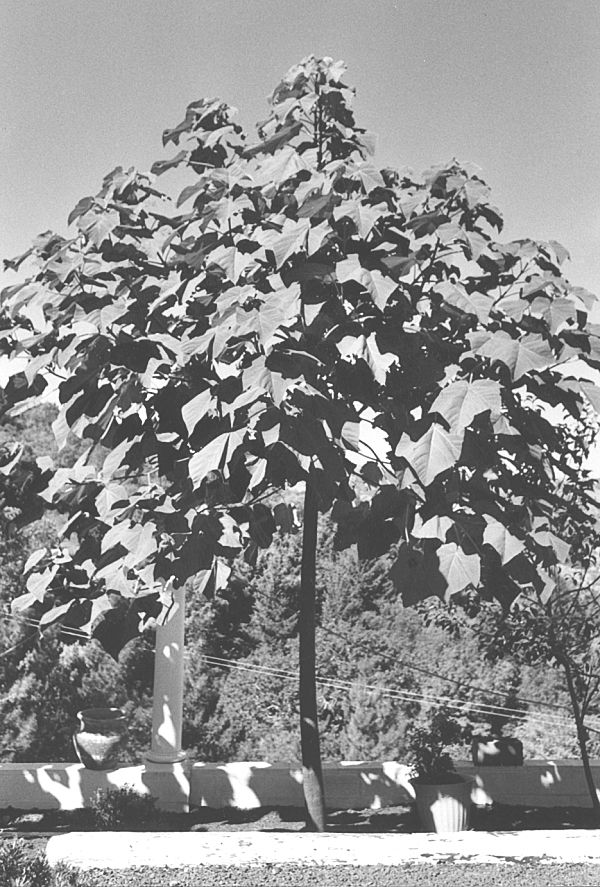 FARM SHOW Magazine - The BEST stories about Made-It-Myself Shop ...