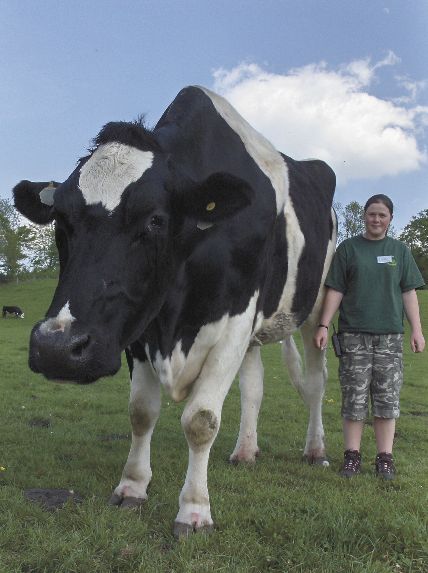 FARM SHOW Magazine - The BEST stories about Made-It-Myself Shop ...