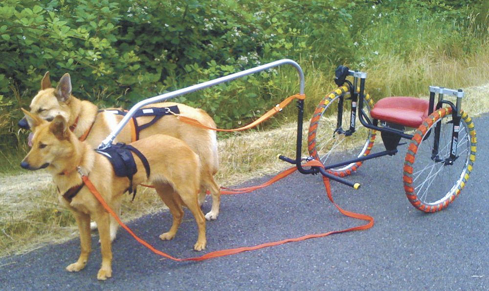 Dog Sulky