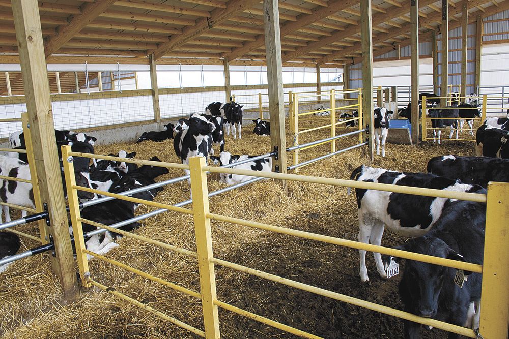 FARM SHOW Magazine - The BEST stories about Made-It-Myself Shop ...