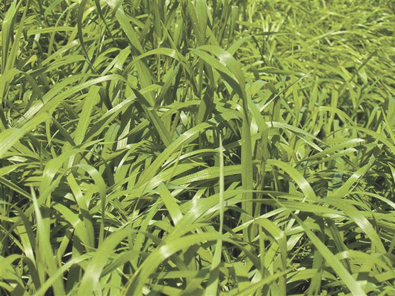 FARM SHOW Magazine - The BEST stories about Made-It-Myself Shop ...