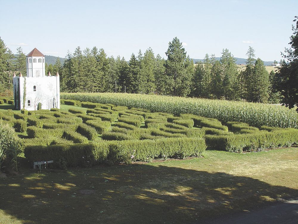 FARM SHOW Magazine - The BEST stories about Made-It-Myself Shop ...