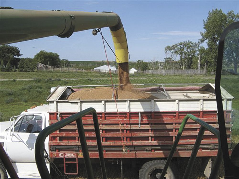 FARM SHOW Magazine - The BEST stories about Made-It-Myself Shop ...