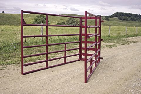 Best Cattle Head Catch