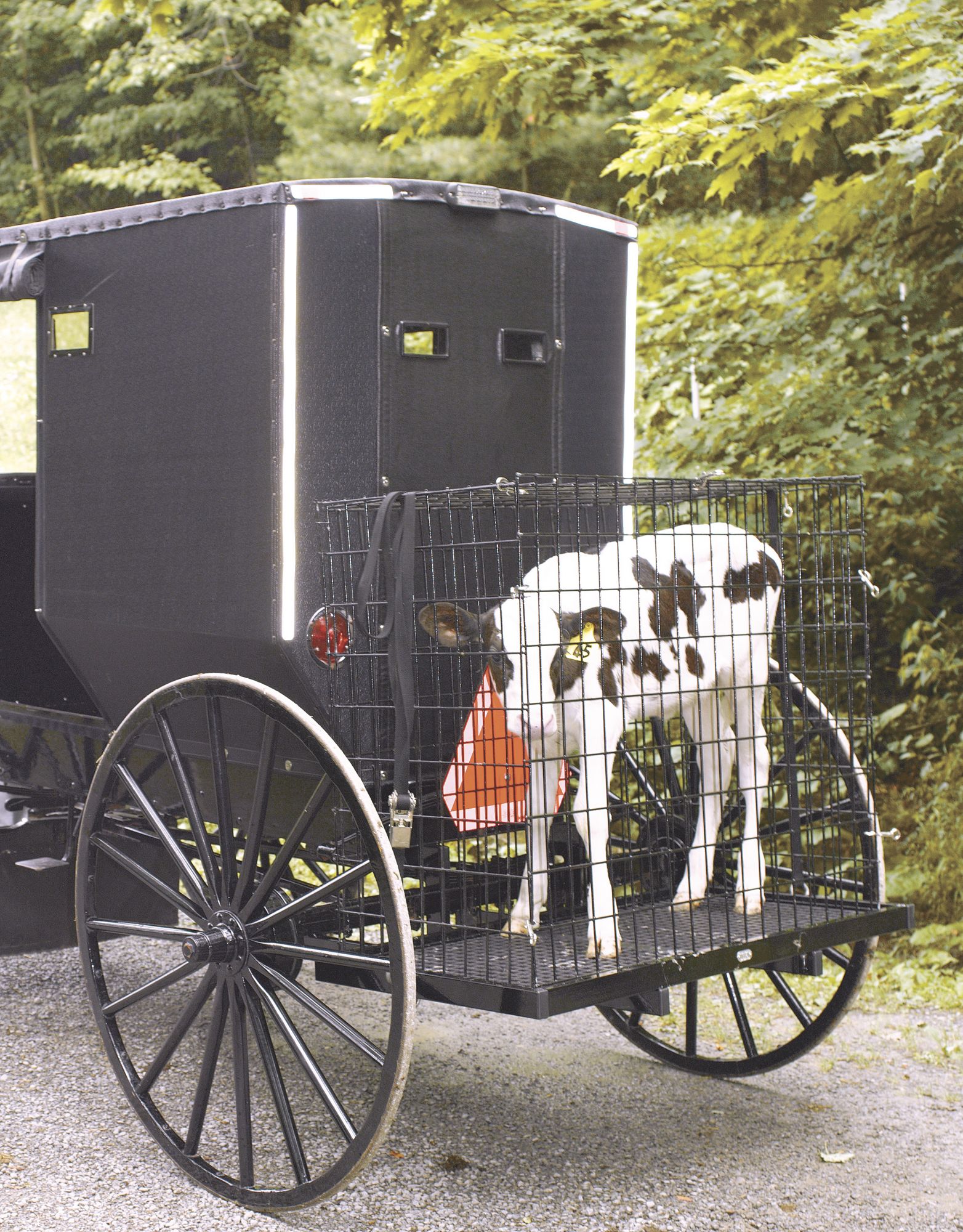 FARM SHOW Magazine - The BEST stories about Made-It-Myself Shop ...