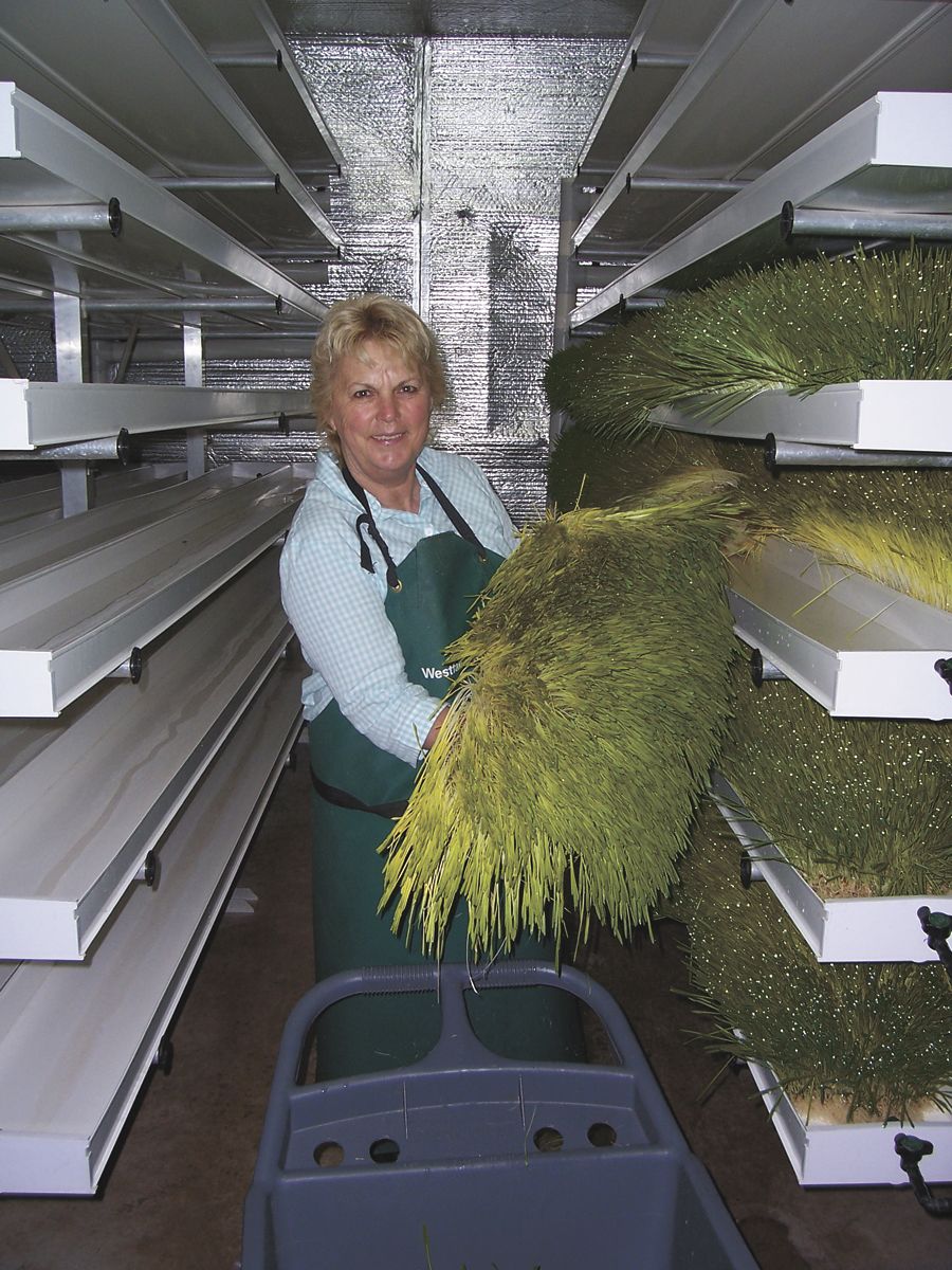 FARM SHOW Magazine - The BEST stories about Made-It-Myself Shop ...