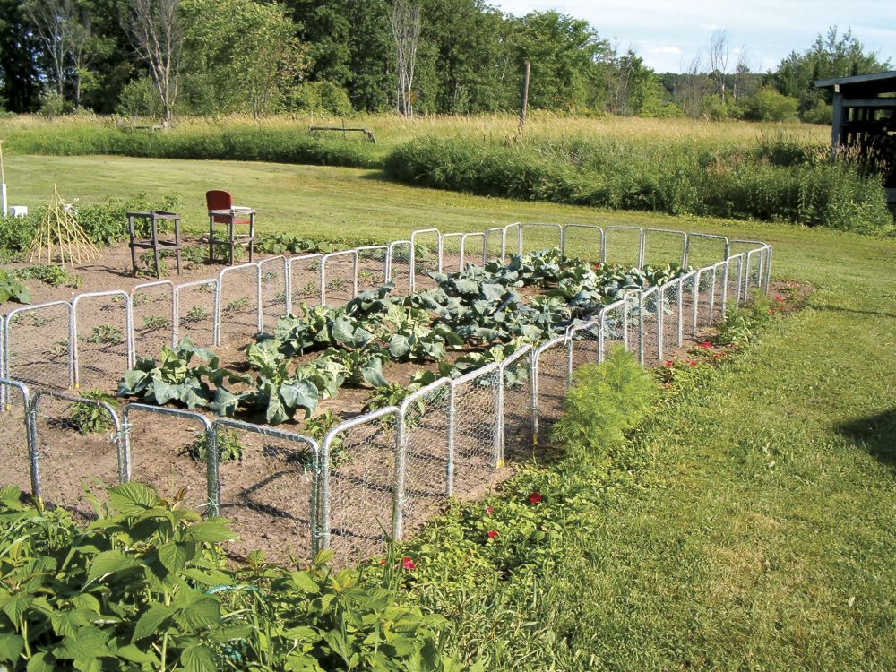 FARM SHOW Magazine - The BEST stories about Made-It-Myself Shop ...