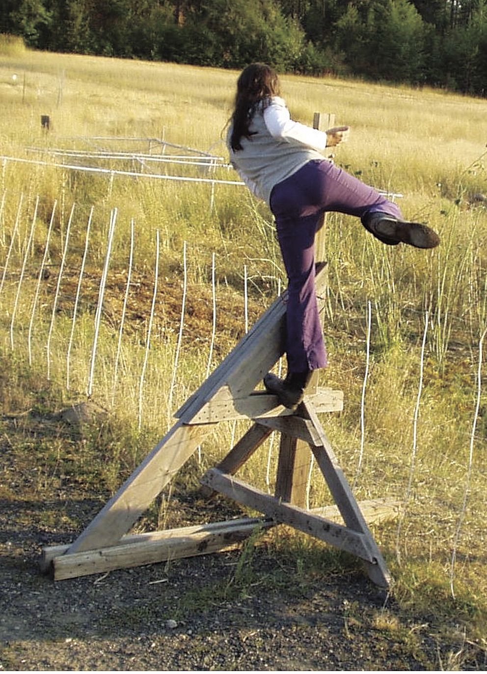 FARM SHOW Magazine - The BEST stories about Made-It-Myself Shop ...