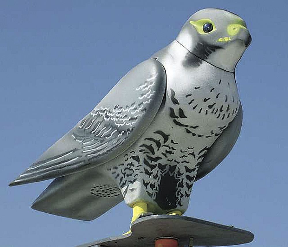 FARM SHOW Magazine - The BEST stories about Made-It-Myself Shop ...