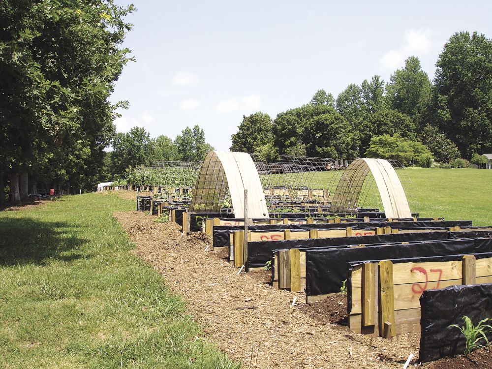 FARM SHOW Magazine - The BEST stories about Made-It-Myself Shop ...