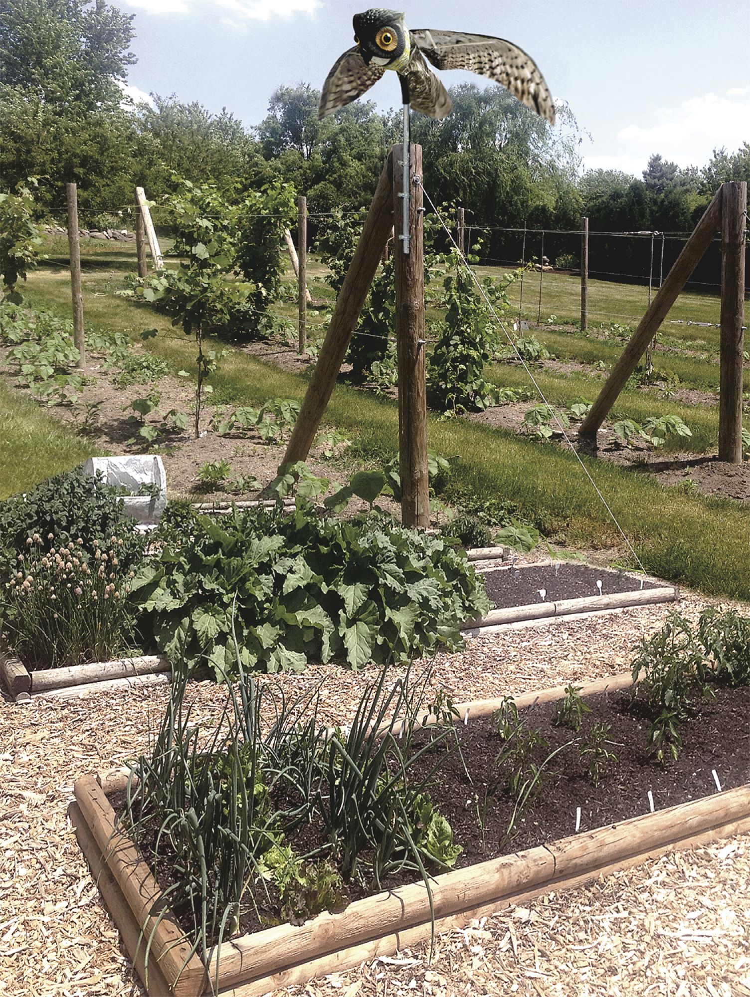 FARM SHOW Magazine - The BEST stories about Made-It-Myself Shop ...