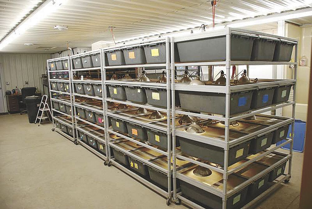 FARM SHOW Magazine - The BEST stories about Made-It-Myself Shop ...