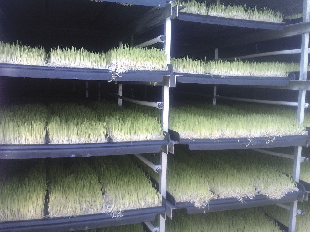 FARM SHOW Magazine - The BEST stories about Made-It-Myself Shop ...