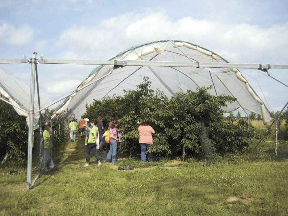 FARM SHOW Magazine - The BEST stories about Made-It-Myself Shop ...