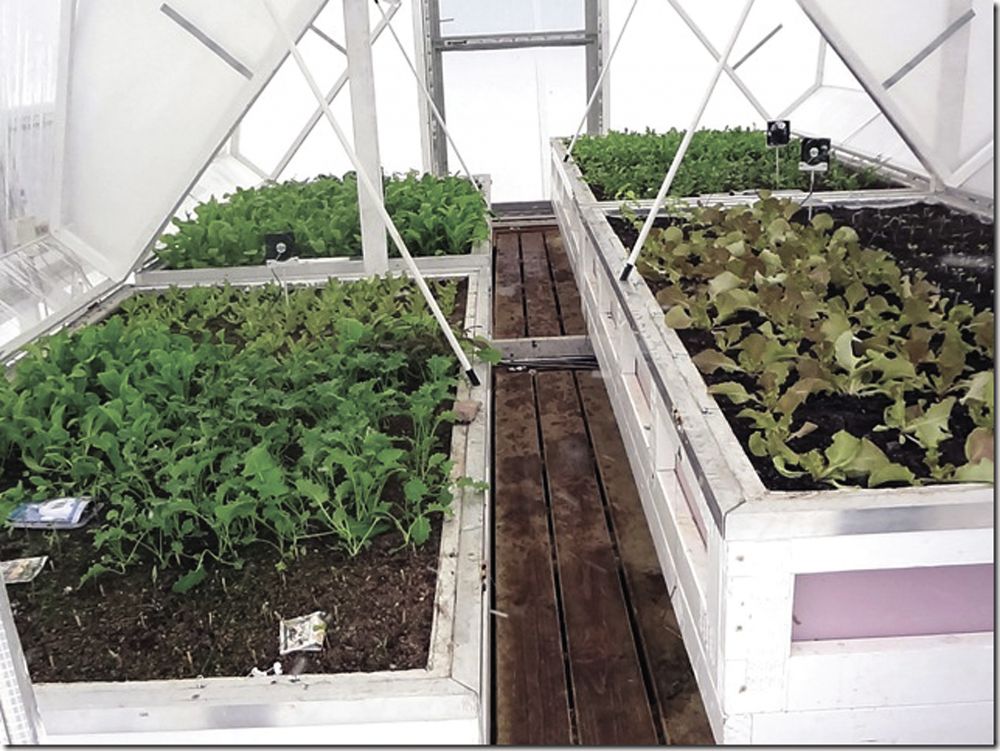 FARM SHOW Magazine - The BEST stories about Made-It-Myself Shop ...