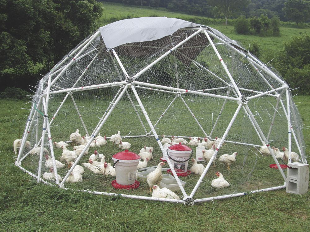 Geodesic Dome Chicken House