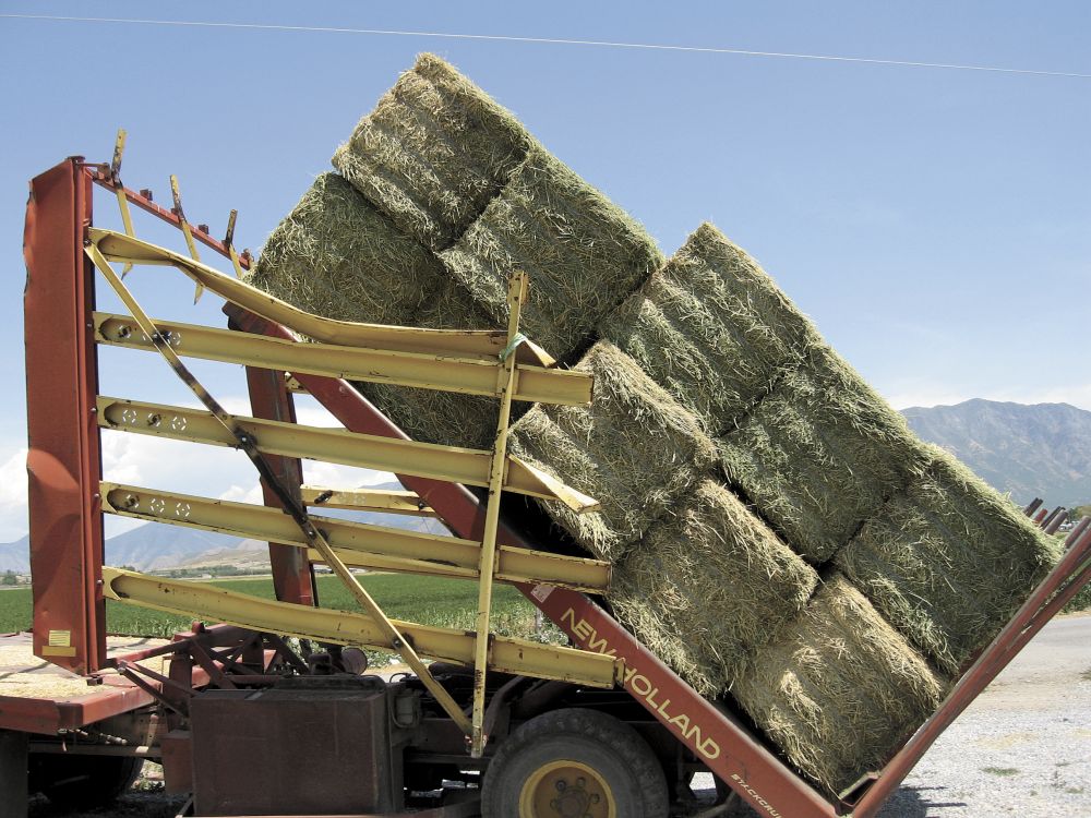 FARM SHOW Magazine - The BEST stories about Made-It-Myself Shop ...
