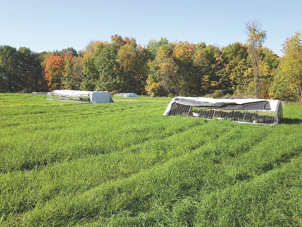 FARM SHOW Magazine - The BEST stories about Made-It-Myself Shop ...