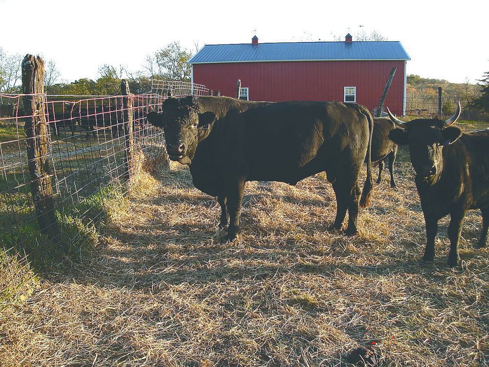 FARM SHOW Magazine - The BEST stories about Made-It-Myself Shop ...