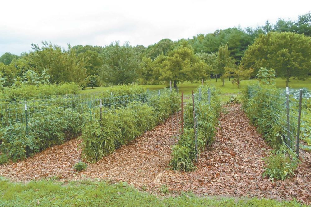 FARM SHOW Magazine - The BEST stories about Made-It-Myself Shop ...