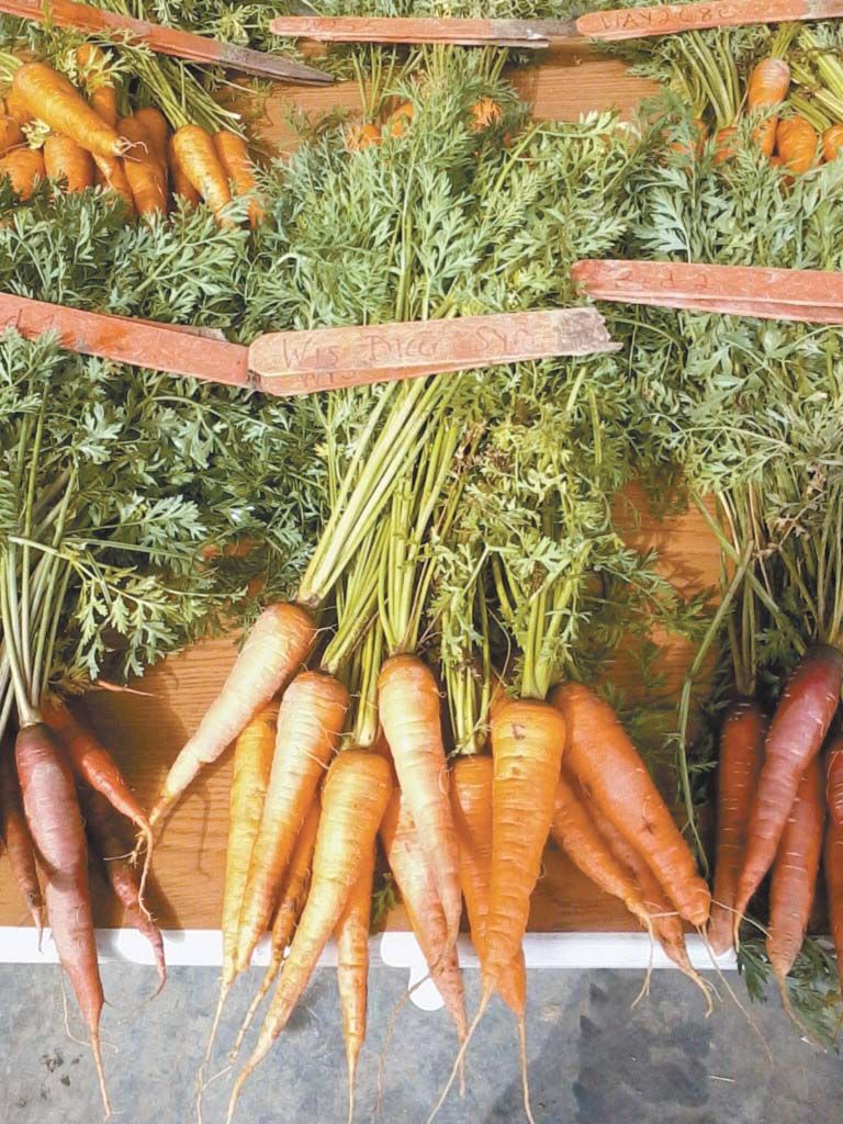 FARM SHOW Magazine - The BEST stories about Made-It-Myself Shop ...