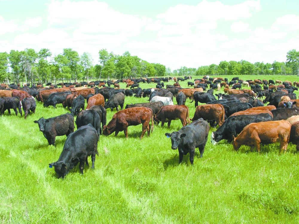 FARM SHOW Magazine - The BEST stories about Made-It-Myself Shop ...