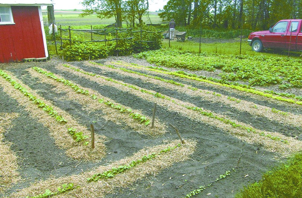 FARM SHOW Magazine - The BEST stories about Made-It-Myself Shop ...