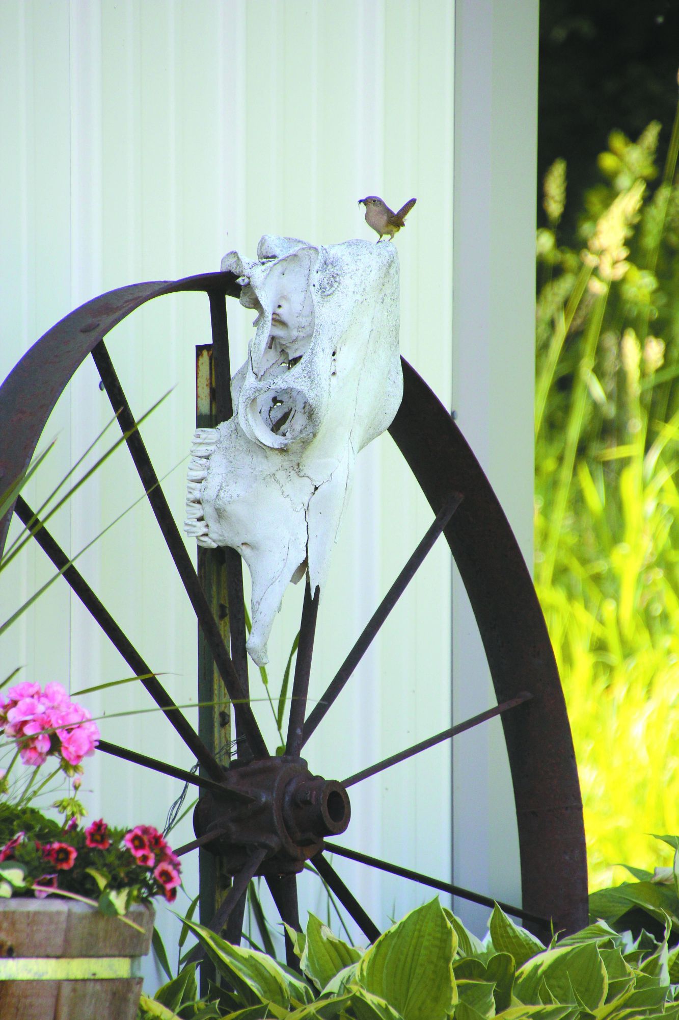 FARM SHOW Magazine - The BEST stories about Made-It-Myself Shop ...