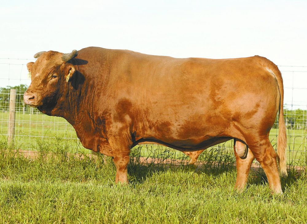 FARM SHOW Magazine - The BEST stories about Made-It-Myself Shop ...