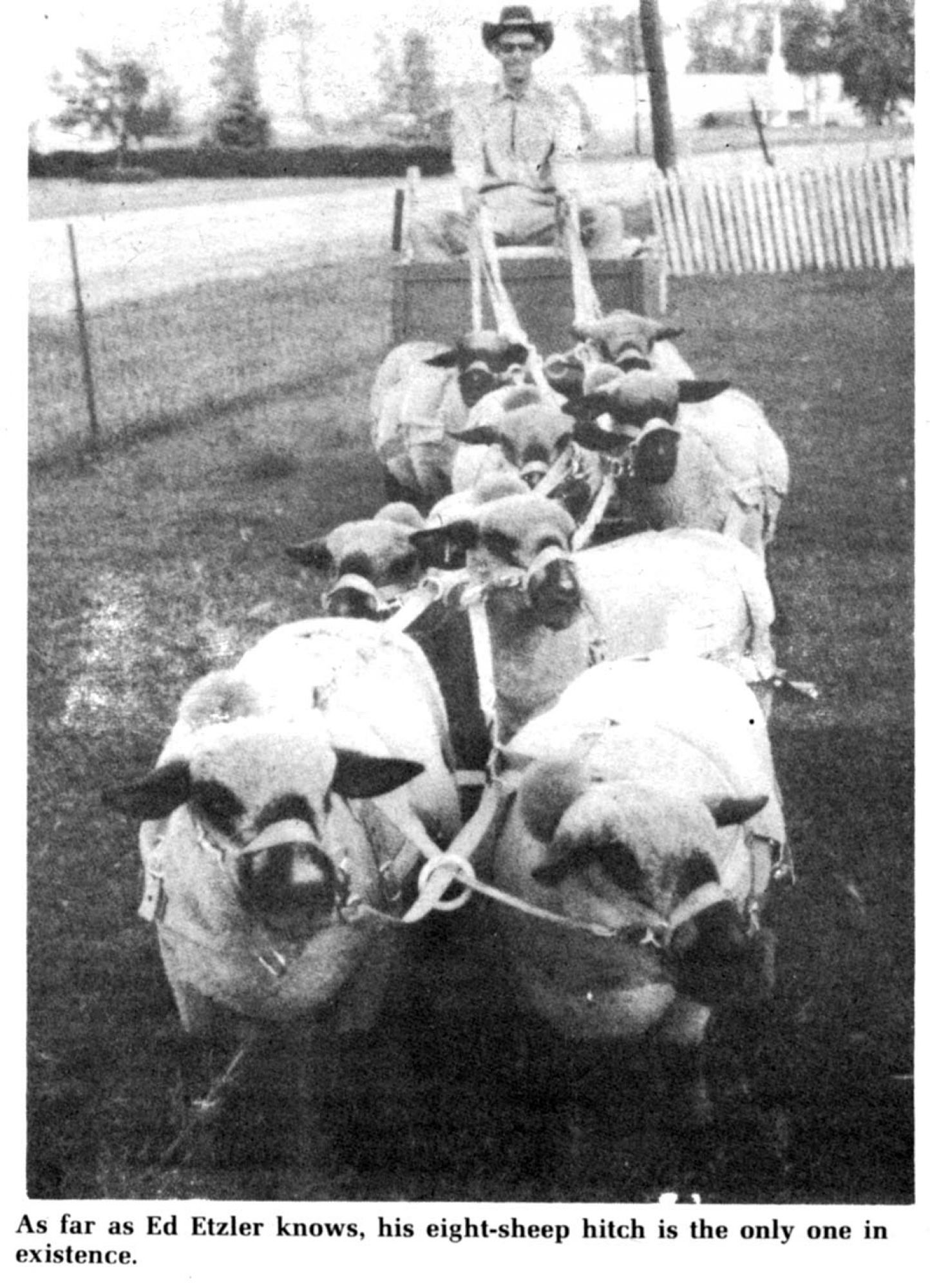 FARM SHOW Magazine - The BEST stories about Made-It-Myself Shop ...